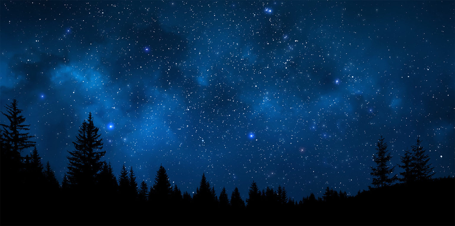 SmartFrame Array Neuro Navigation System - ClearPoint Neuro